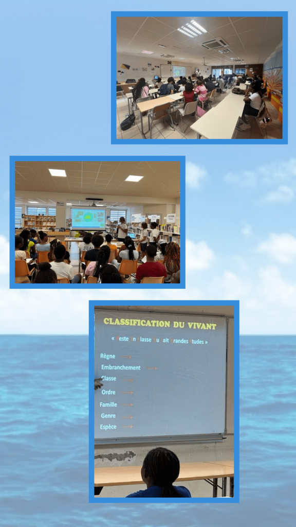 Cité Scolaire Robert WEINUM Lycée – Cité Scolaire Robert WEINUM Lycée